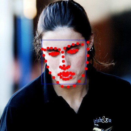 Face landmark detection in an image — OpenCV Tutorials