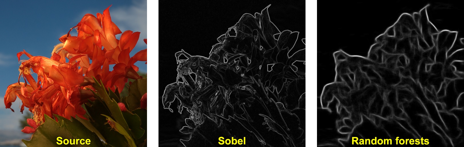 OpenCV Structured Forests For Fast Edge Detection